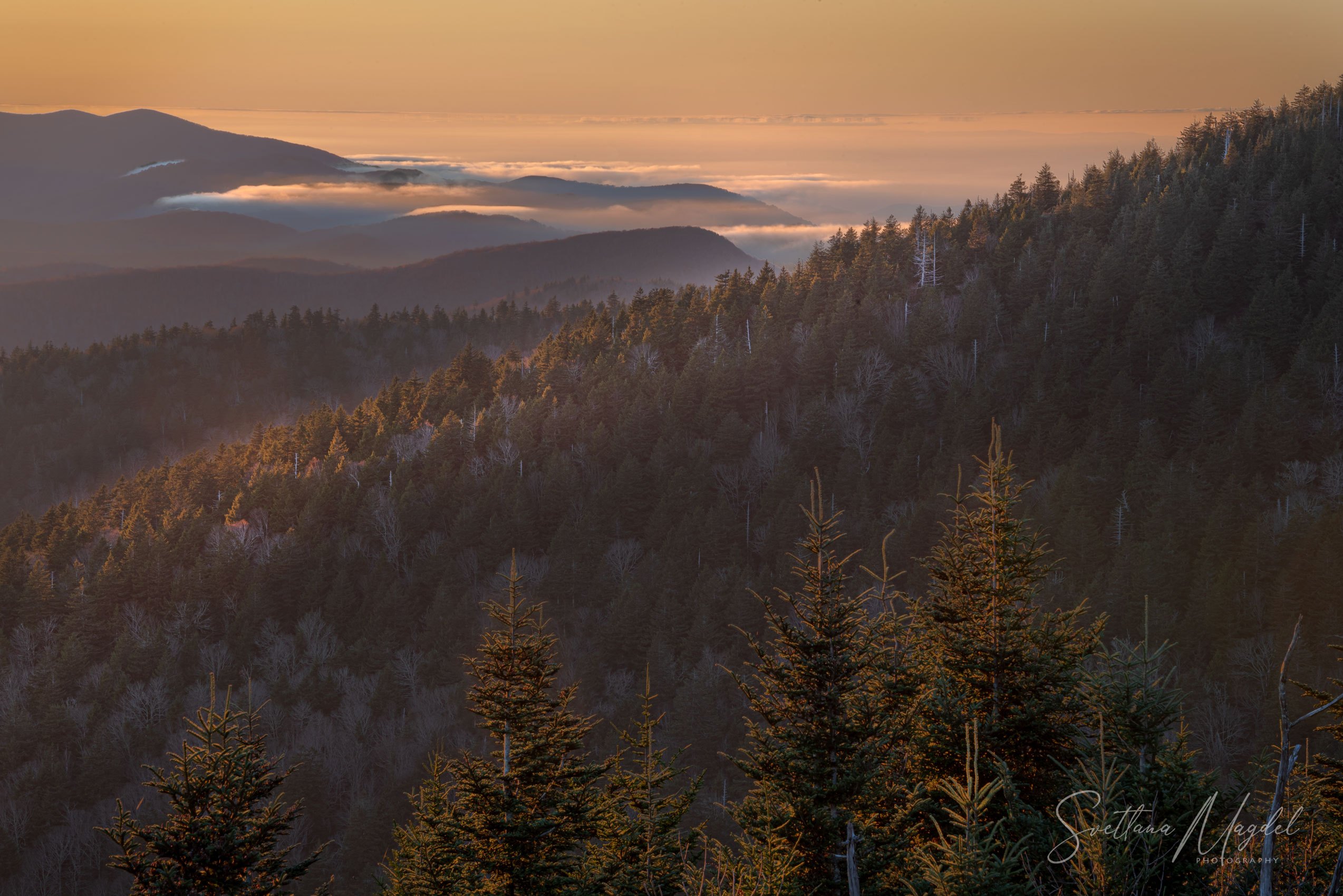 Tennessee, Smoky Mountains, USA | Svetlana Magdel Photography | Fine ...
