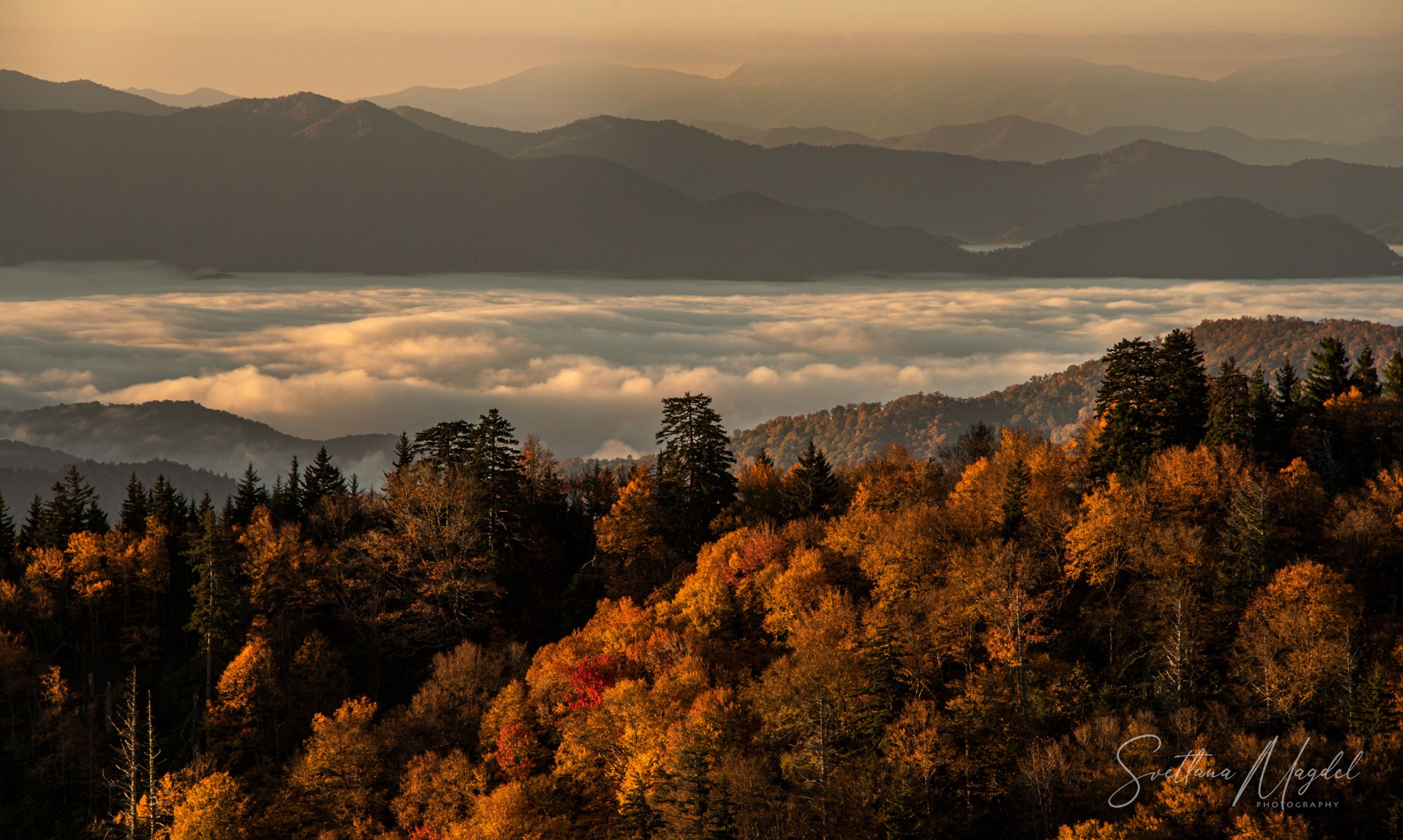 Tennessee, Smoky Mountains, USA | Svetlana Magdel Photography | Fine ...
